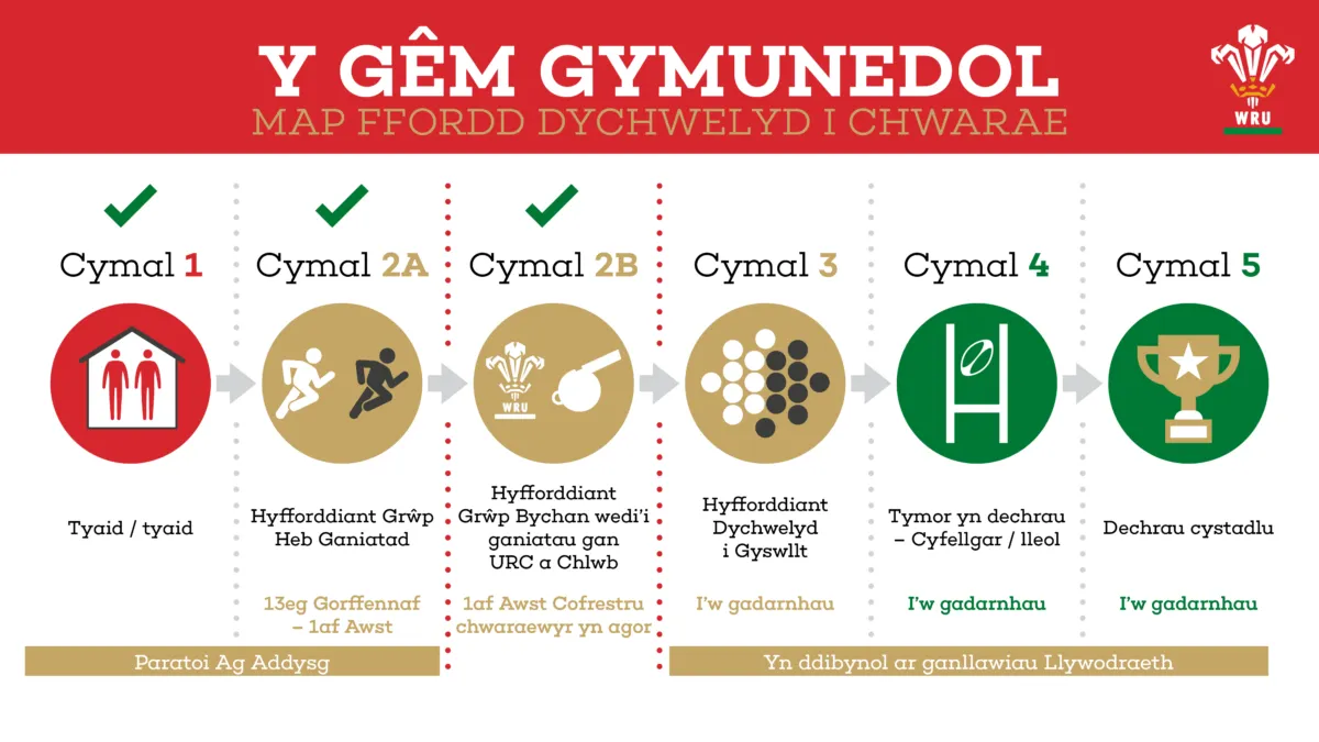 Welsh Rugby Union - Cam nesaf y broses o ddychwelyd i rygbi cymunedol